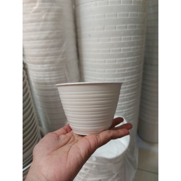 Jual Pot Tawon Pot Kaktus Pot Bibit MDN 10 Super Tawon 10 harga GROSIR ...