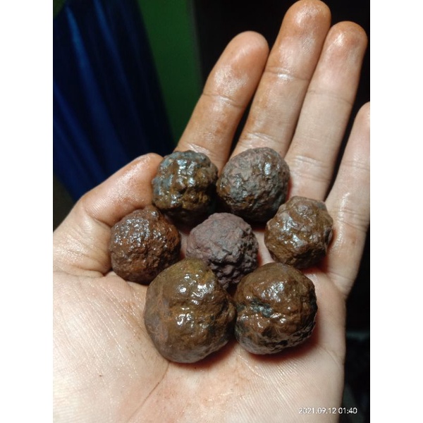 Jual munta besi jumbo / monta bassi jumbo aktif | Shopee Indonesia