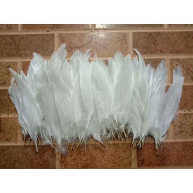 Jual Bulu Angsa Aksesoris warna warni 10-15 cm isi 100 helai | Shopee ...