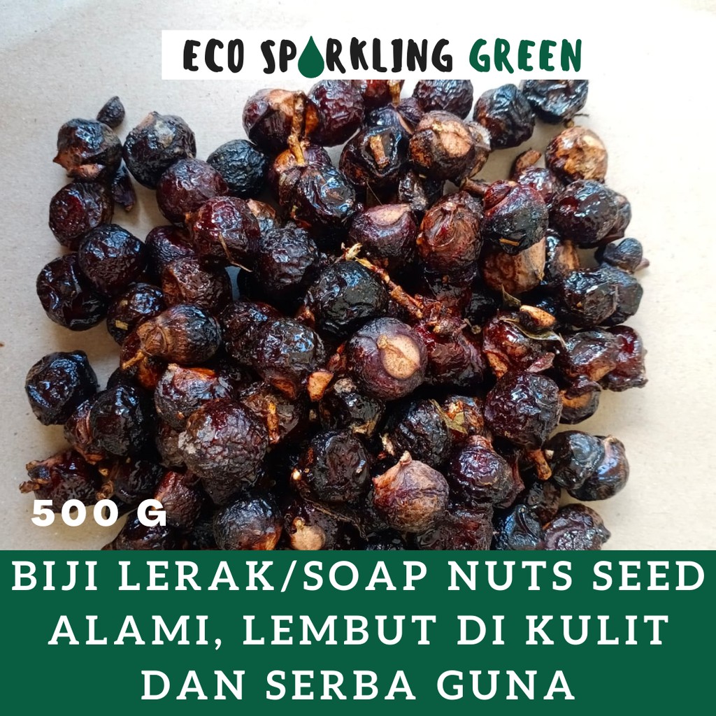 Jual Buah Lerak/Biji Lerak/Lerak Biji/Soap Nuts/Soap Berry 500gr ...