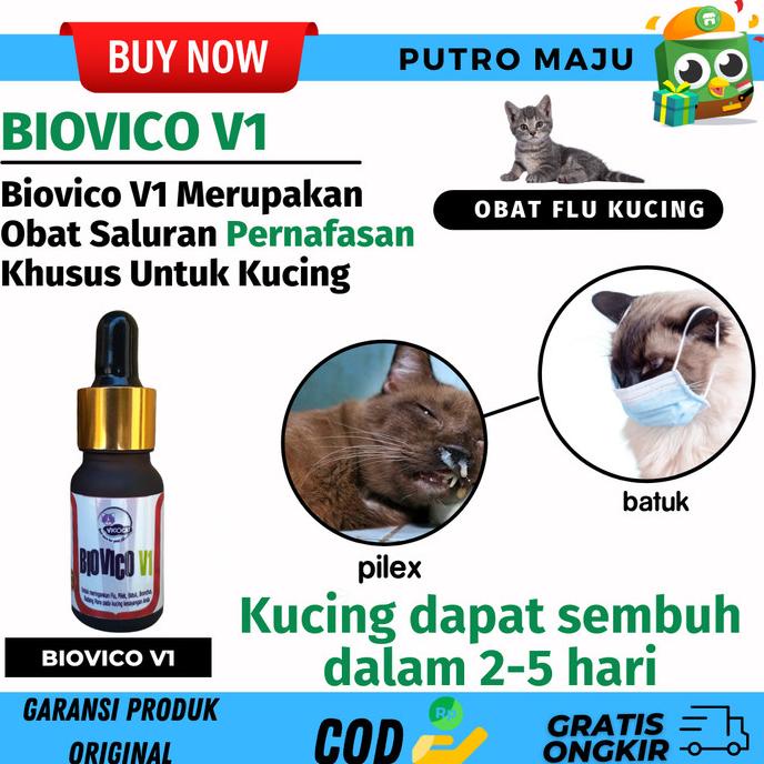 Jual obat flu kucing obat batuk kucing pernafasan kucing biovico v1 ...
