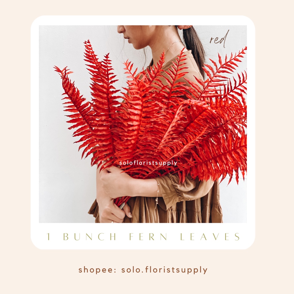 Jual 76cm FERN PERSIA BUNCH ARTIFICIAL Daun Fern Persia Panjang ...