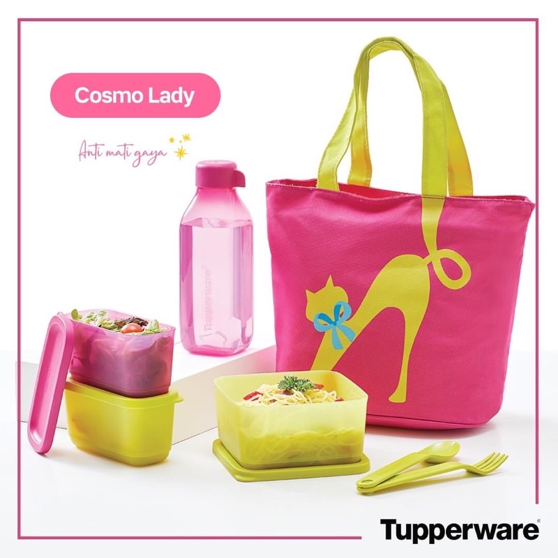 Jual COSMO LADY ( FREE PACKINGAN DUS ) | Shopee Indonesia