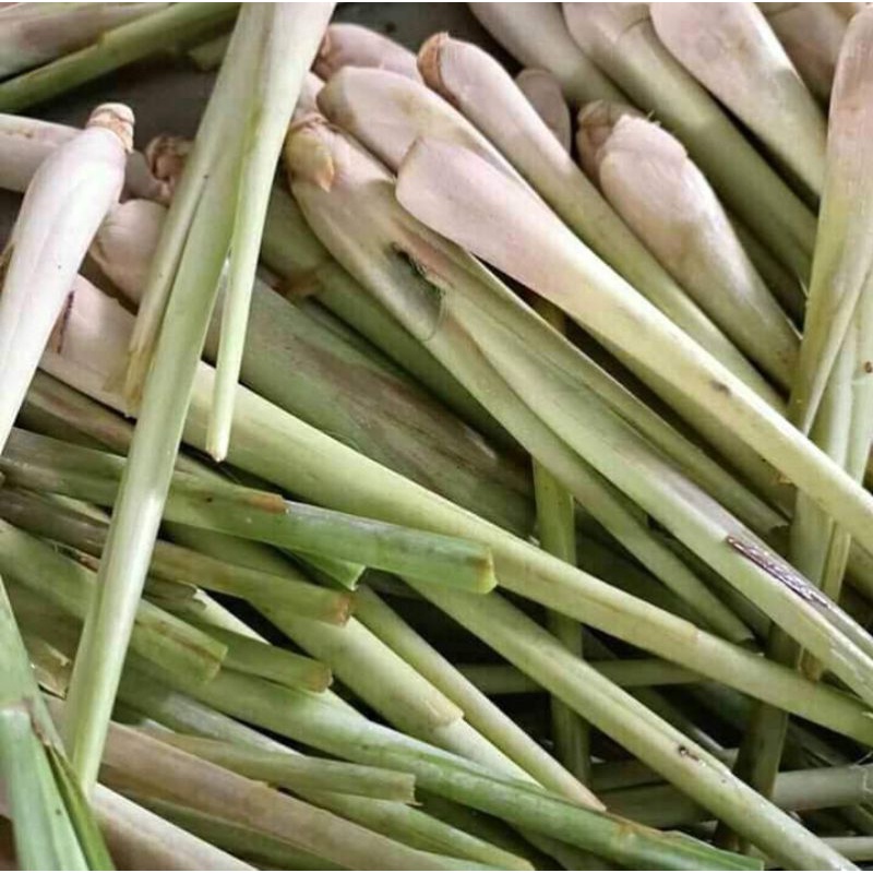 Jual SERAI/SERAI SEGAR.... 250 gram,hrga promo | Shopee Indonesia