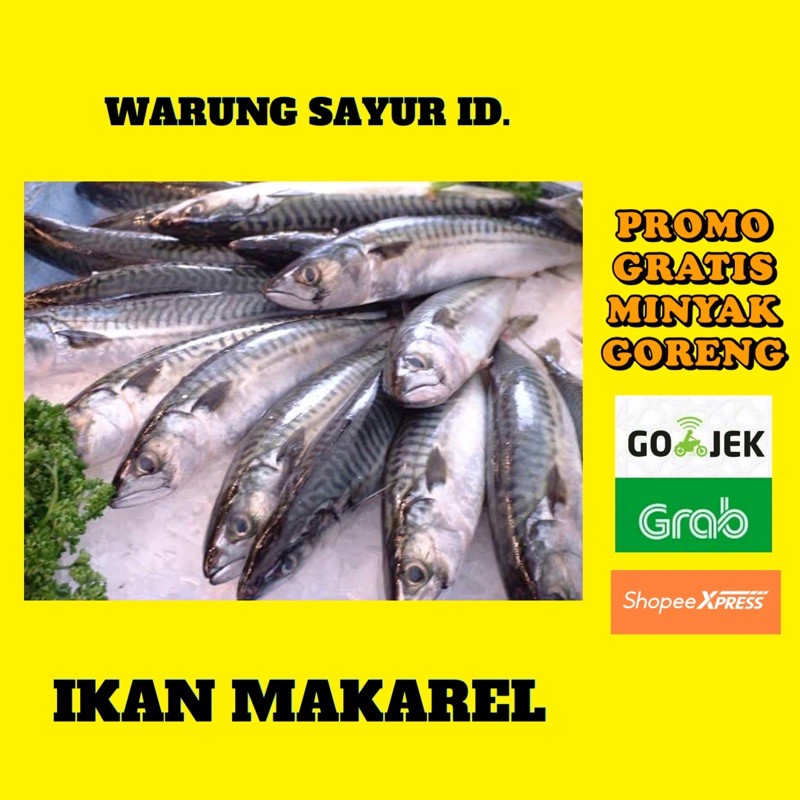 Jual IKAN MAKAREL SEGAR 500 GRAM | Shopee Indonesia