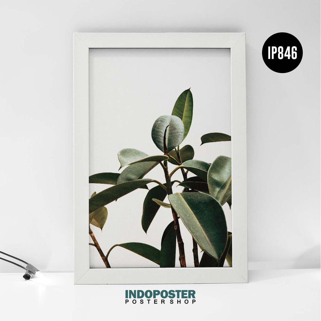 Jual Poster Hiasan Dinding Daun Hijau Botanical Green Leaves PIPIMOCI ...