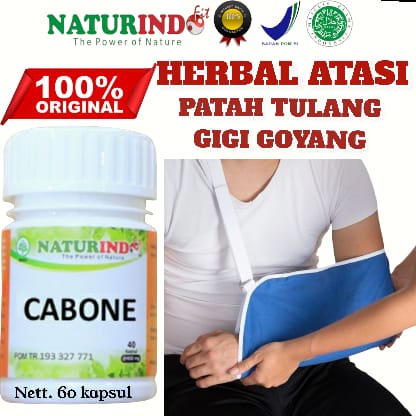 Jual Vitamin Tulang dan Sendi Obat Patah Tulang dan Retak Cabone ...