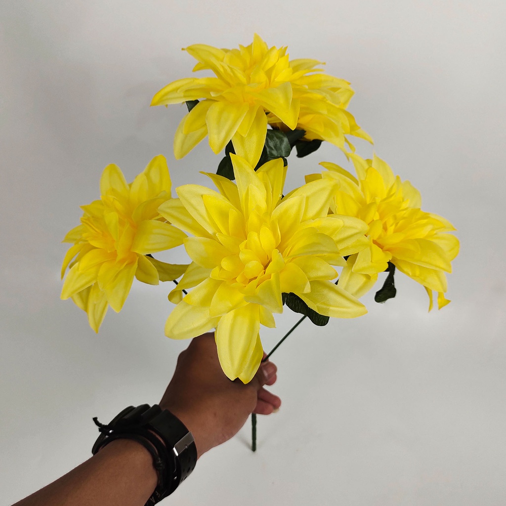 Jual Bunga Krisan Crisant Premium Murah Jumbo SJ Cabang 5 Diamater 14 ...