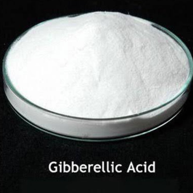 Jual Gibberellic Acid GA3 | Shopee Indonesia