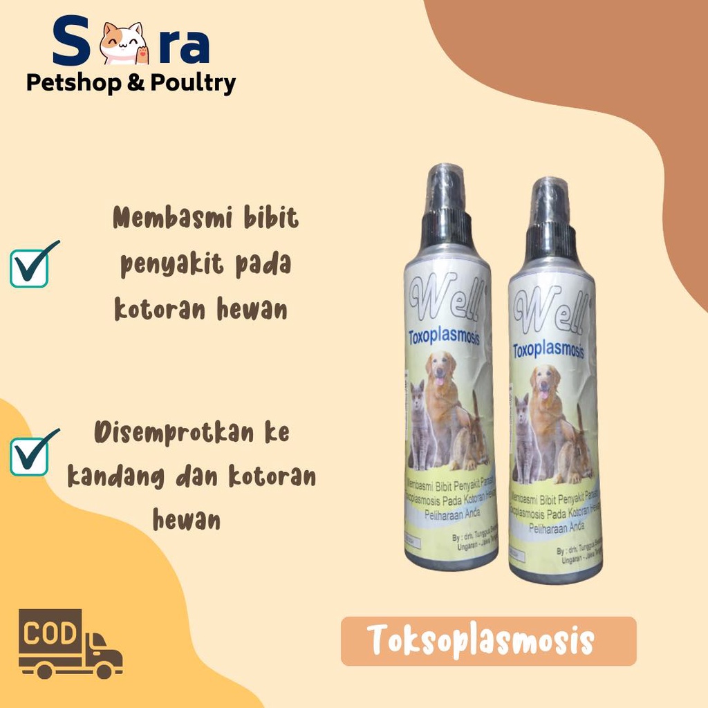 Jual WELL TOXOPLASMOSIS / OBAT SEMPROT PENCEGAH TOKSO / OBAT ...