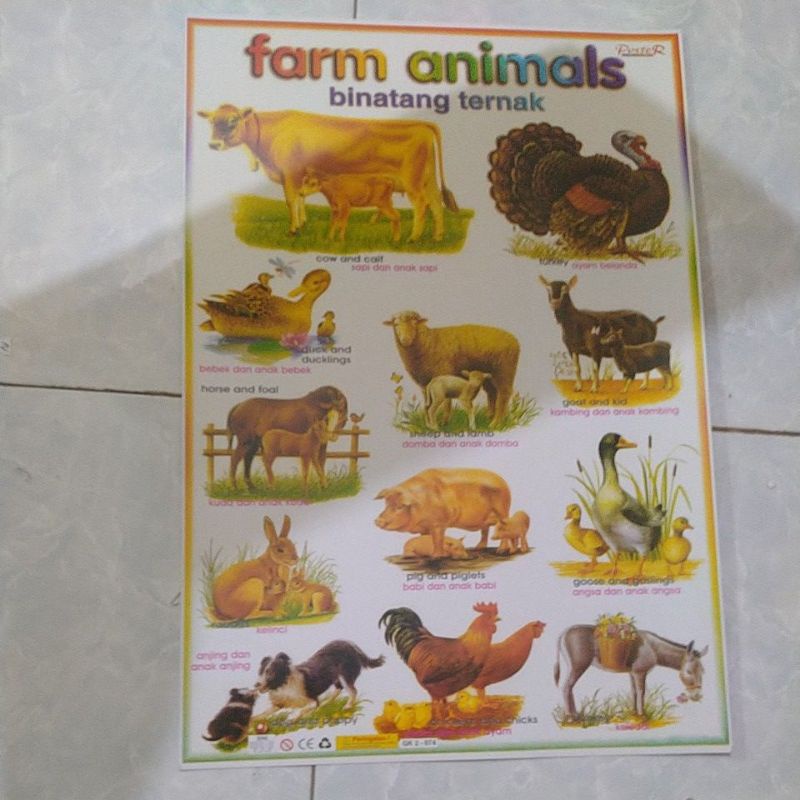 Jual poster edukasi mengenal binatang ternak ukuran 34×49cm | Shopee ...