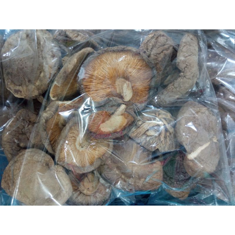 Jual Jamur Shiitake | Jamur Payung | Jamur Hioko 50 gr | Shopee Indonesia