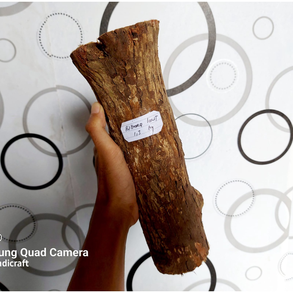 Jual bahan tasbih kayu bidara 1 kg super | Shopee Indonesia