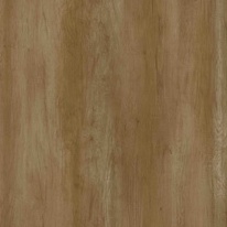Jual TACO Laminate HPL Woodgrain Textured TH 1222 FC - Dakota Oak ...