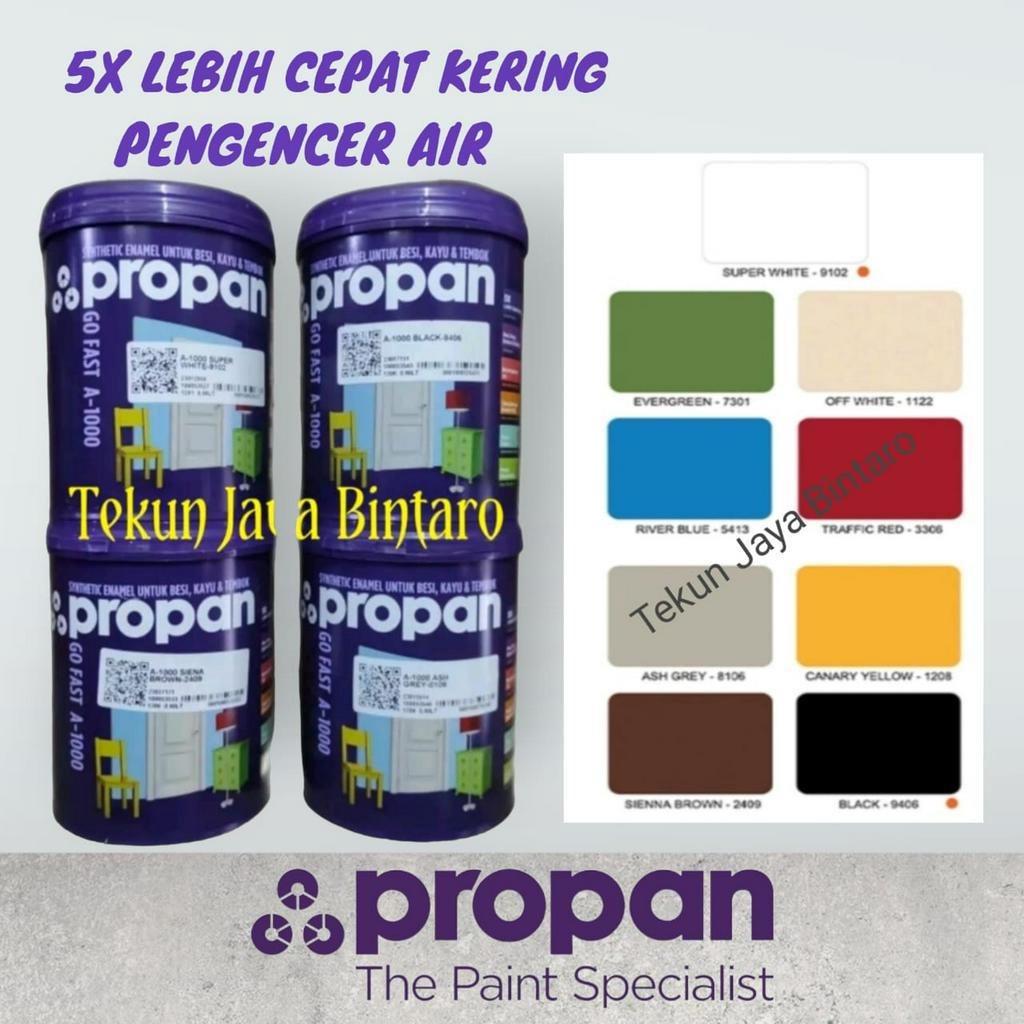 Jual Propan Go Fast A 1000 Cat Kayu & Besi , Tembok Water Based Gofast ...