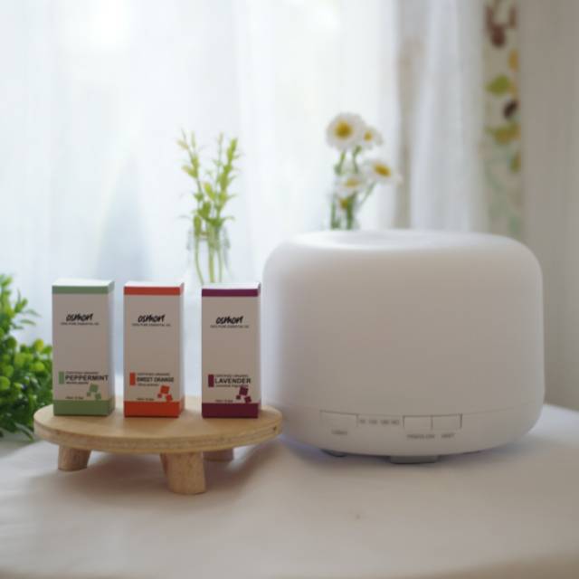Jual Paket Diffuser 500ml dan 3 Oil 10ml | Shopee Indonesia