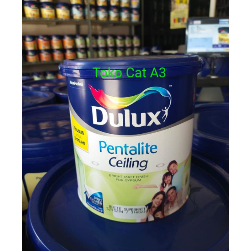 Jual DULUX PENTALITE CEILING 5KG / CAT KHUSUS GYPSUM | Shopee Indonesia