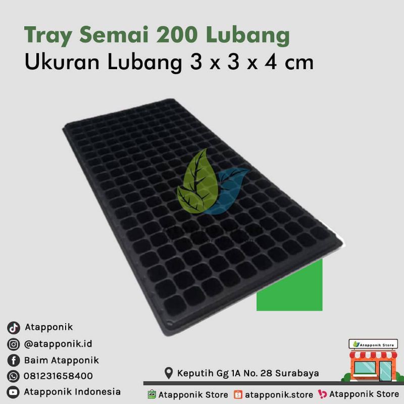 Jual pot tray semai 200 lubang - tray semai tanaman - pottray | Shopee ...