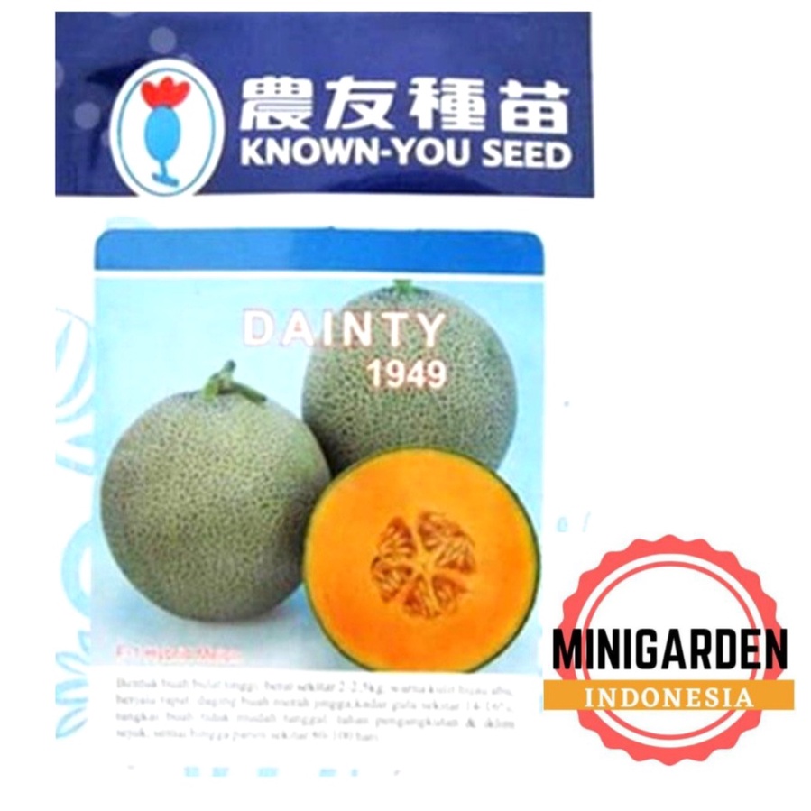 Jual MELON DAINTY 20 GRAM PACK BESAR benih biji bibit buah melon rock ... Jual MELON DAINTY 20 GRAM PACK BESAR benih biji bibit buah melon rock ...