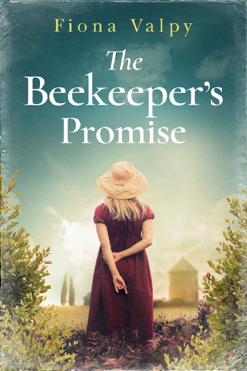 Jual The Beekeepers Promise by Valpy Fiona ( BUKU NOVEL ) | Shopee ...