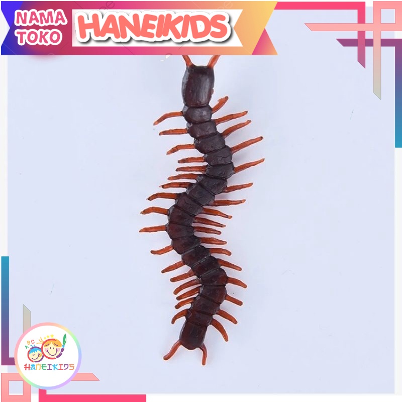 Jual Mainan HEWAN KARET PRANK Cicak Kecoak Kelabang Laba laba ...