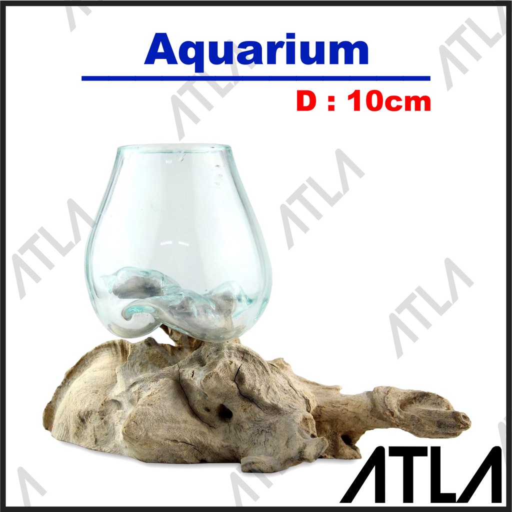 Jual Aquarium Akar Kayu 10cm Akuarium Ikan Glass on Wood Cupang Hias ...