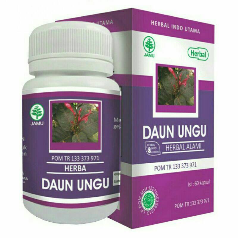 Jual Kapsul Herbal Daun Ungu Mengatasi Wasir Sembelit Asli Alami Natural Tanpa Efek Samping ...