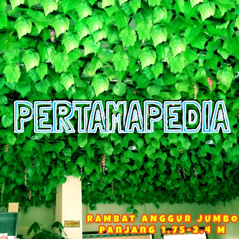 Jual HARGA LUSINAN ISI 12 Pcs Rambat Anggur (Lebar Daun 7-7.5 Cm ...