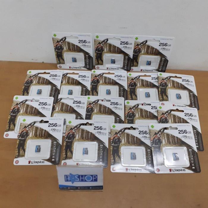 Jual Kingston Canvas Go Plus 4K microSD Card - 256GB | Shopee Indonesia