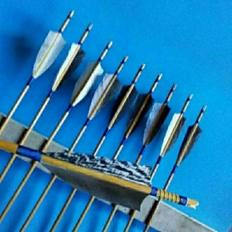 Jual Arrow bambu petung grade A kalkun arrow busur panahan | Shopee ...