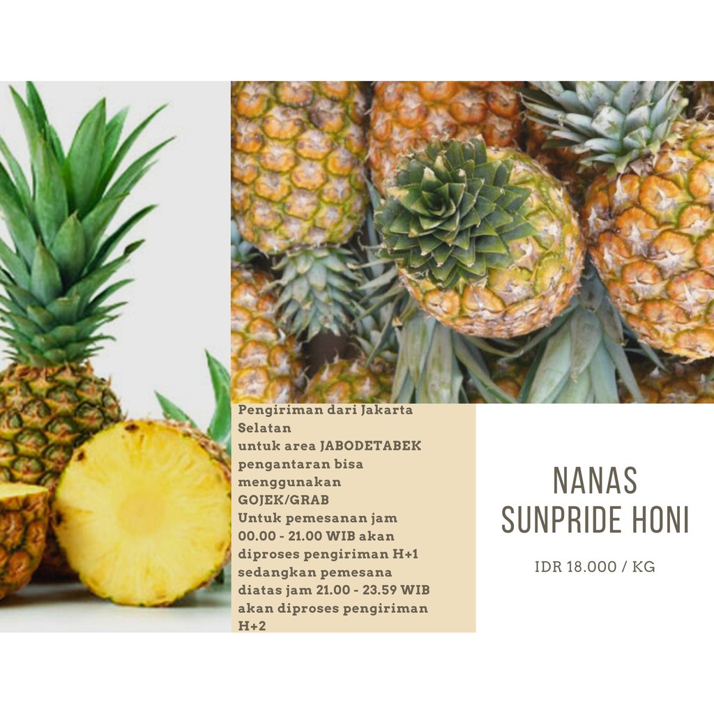 Jual Nanas honi sunpride / nanas honi | Shopee Indonesia