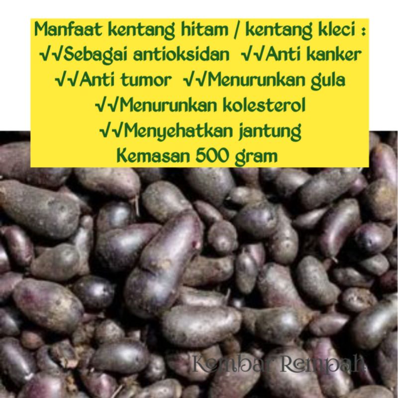 Jual Umbi kentang hitam / kentang kleci 500 gram | Shopee Indonesia