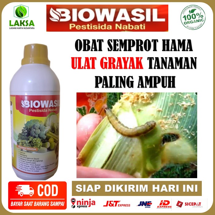 Jual Pestisida BIOWASIL 500 ML Obat Semprot Hama Ulat Grayak Paling Ampuh - Obat Hama Ulat, Ulat ...