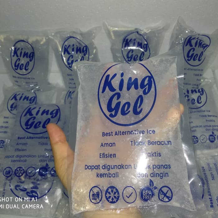 Jual Ice Es Gel 500 gram pengganti es batu | Shopee Indonesia