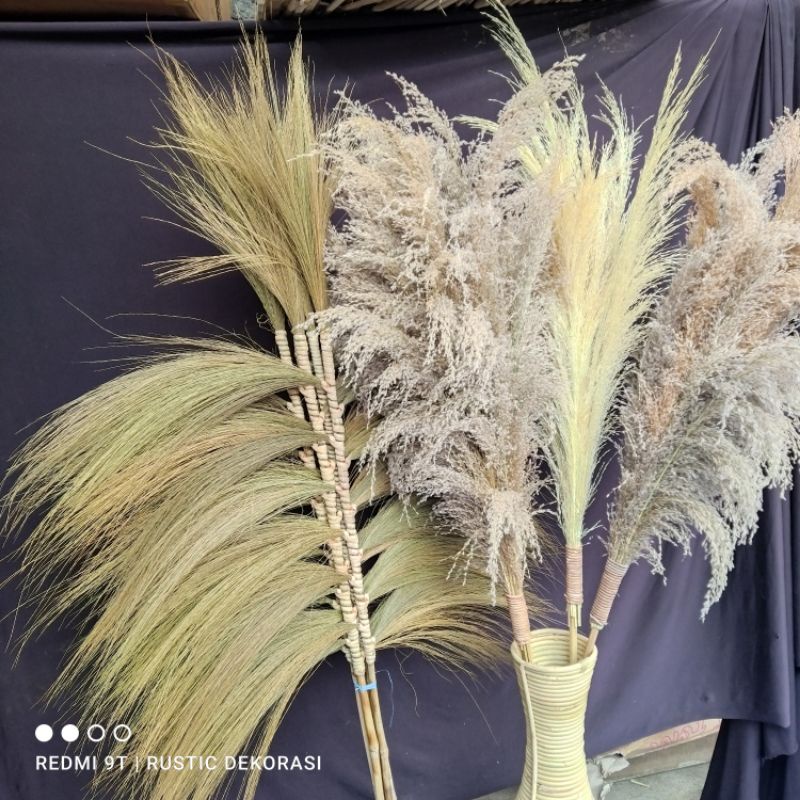Jual pampas stik | pampas bulu rayung batang bambu | dekorasi rustic ...