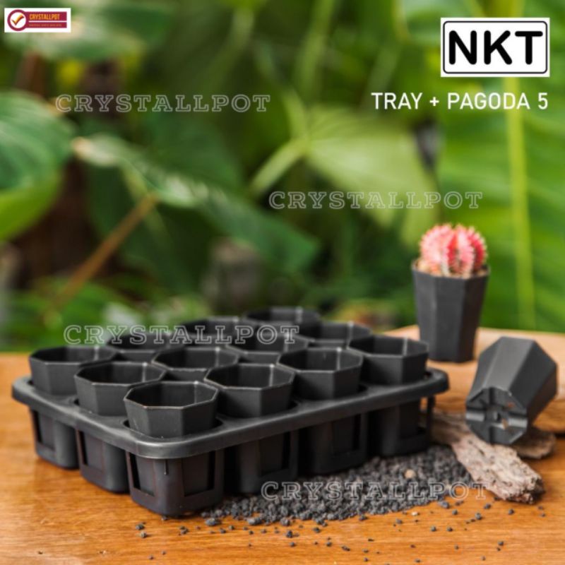 Jual 1 set Tray + POT BUNGA NKT PAGODA MINI 5CM HITAM | tray semai ...