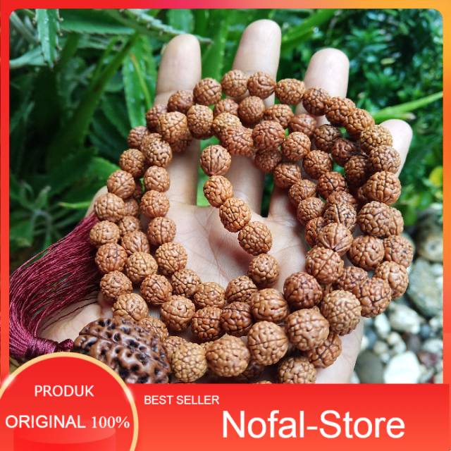 Jual Japamala 108 Tasbih 108 Japamala Jenitri Rudraksha Original 108 ...