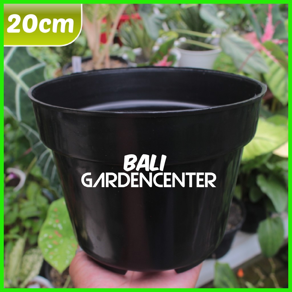 Jual Pot Plastik Hitam Ukuran 20Cm - Pot Untuk Tanaman | Shopee Indonesia
