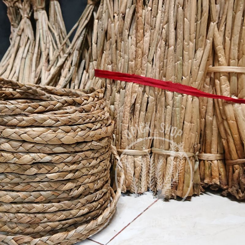 Jual Eceng Gondok Kering | Shopee Indonesia