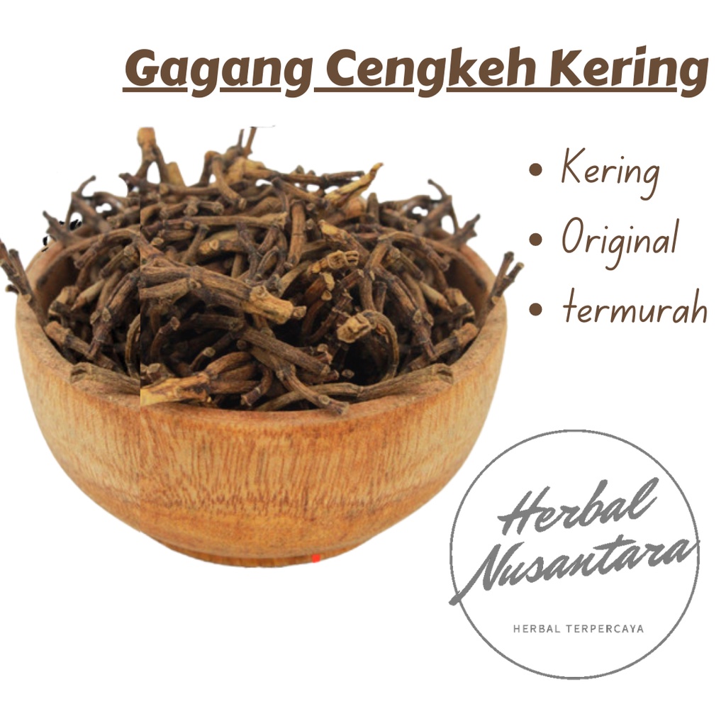 Jual Termurah Gagang Cengkeh Kering - Dijamin Original Bukan Bekas ...