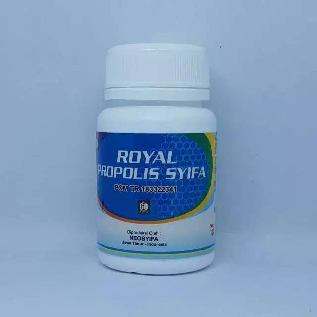 Jual ROYAL PROPOLIS SYIFA NASA 60 KAPSUL - HABBAT ORIGINAL | Shopee ...