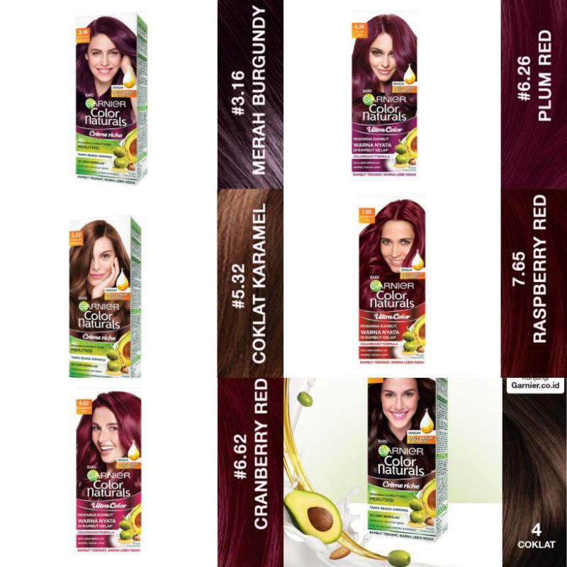 Jual Garnier Hair Color Box 50gr+50ml | Shopee Indonesia