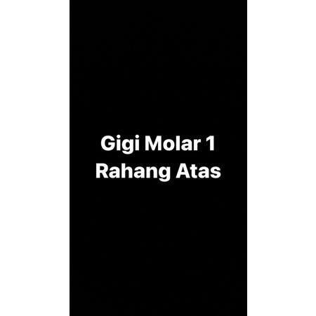 Jual Gigi molar 1 2 3 dewasa rahang atas kanan dan kiri (unsur 16 17 18 ...