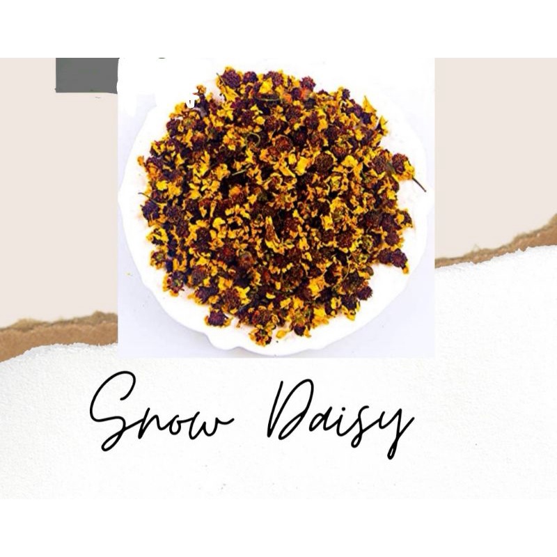 Jual Snow Daisy Flower Tea / Teh Bunga Snow Daisy / SNOW CHRYSAN ...
