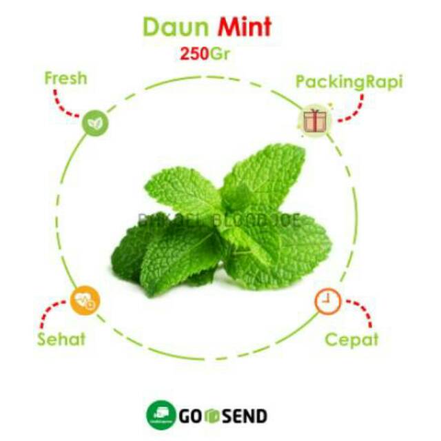Jual DAUN MINT HERBAL PACK MURAH / MINT LEAVES / FRESH VEGETABLES ...