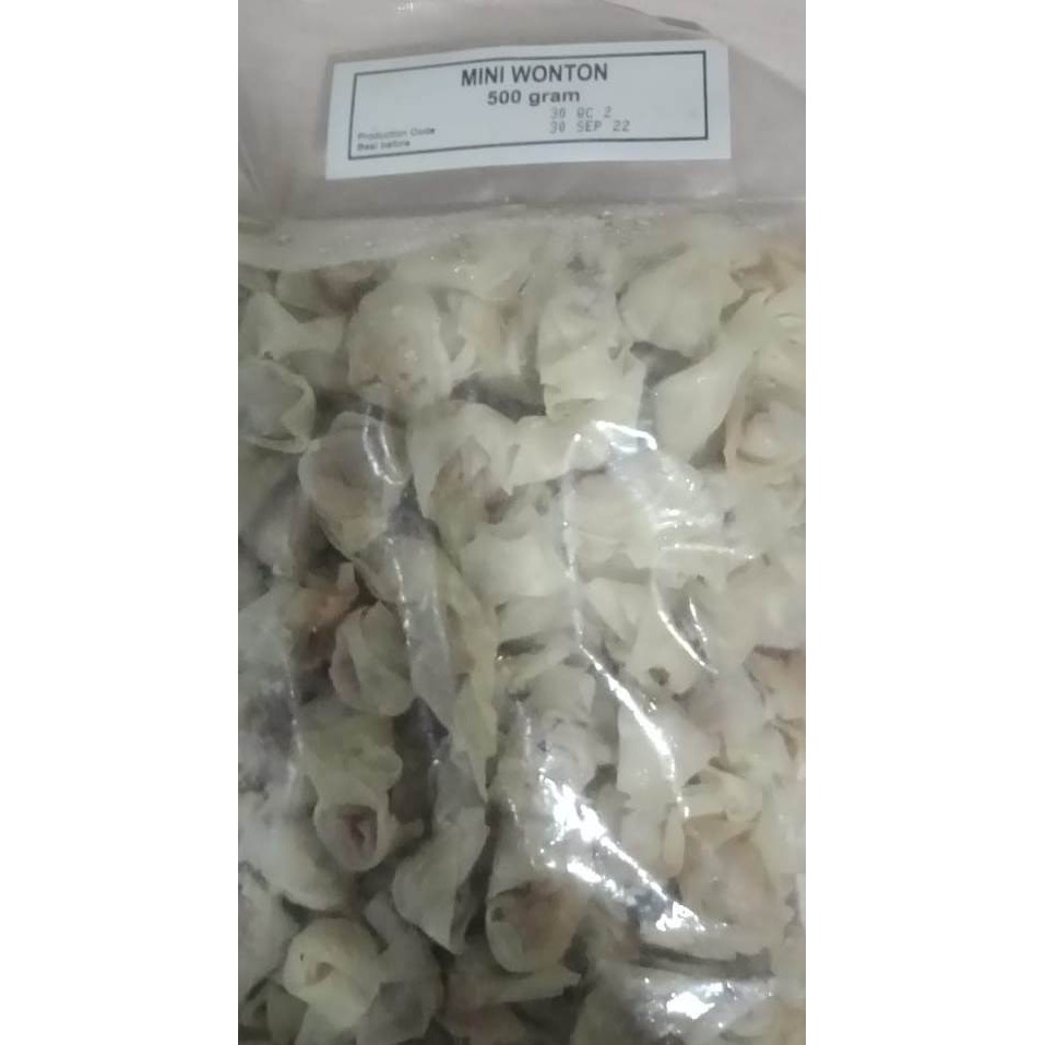 Jual BUMIFOOD MINI WOTON 500 GR / PANGSIT MINI KEMASAN BESAR | Shopee ...