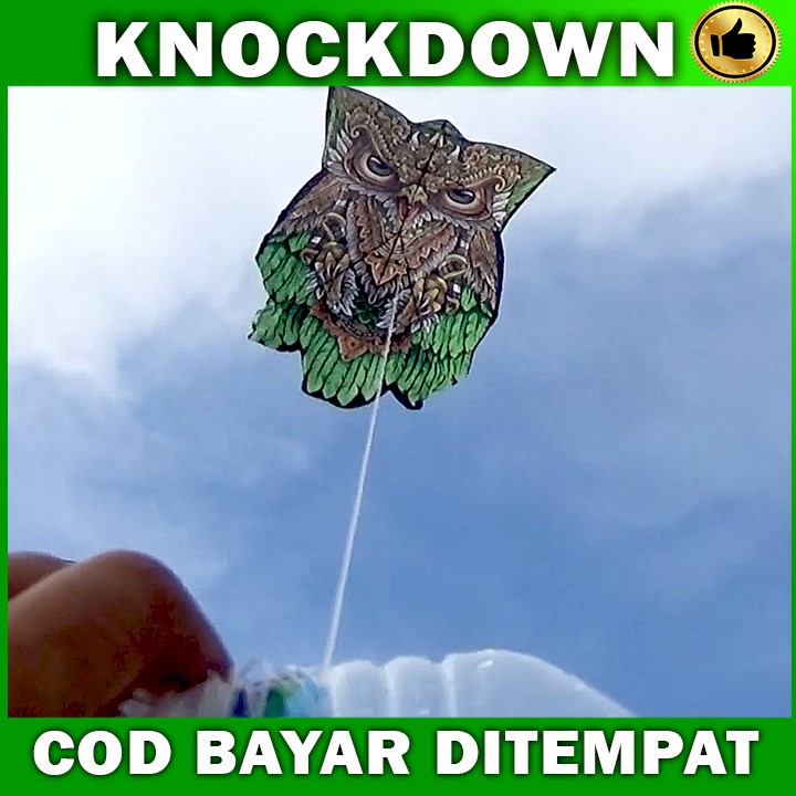 Jual LAYANGAN CELEPUK KNOCKDOWN , LAYANGAN CELEPUK LIPAT | Shopee Indonesia
