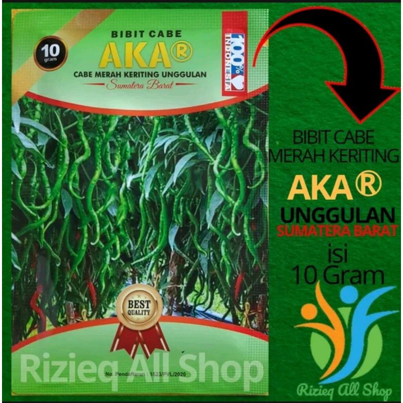 Jual Benih Cabe Keriting AKAR isi 1 Gr sekitar 200 biji/ 10 Gr sekitar ...