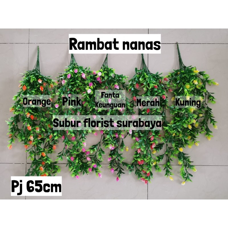 Jual Rambat Gantung sakura / rambat gantung nanas / rambat gantung ...
