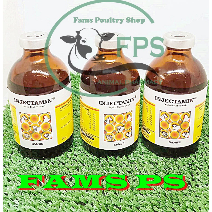 Jual INJECTAMIN 100 ml SANBE - Multivitamin Lengkap Hewan Produktifitas ...